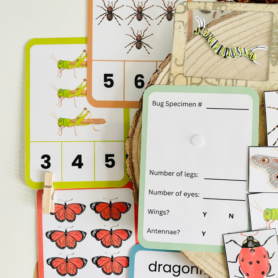 Insect Counting Flashcards – Little Acorns